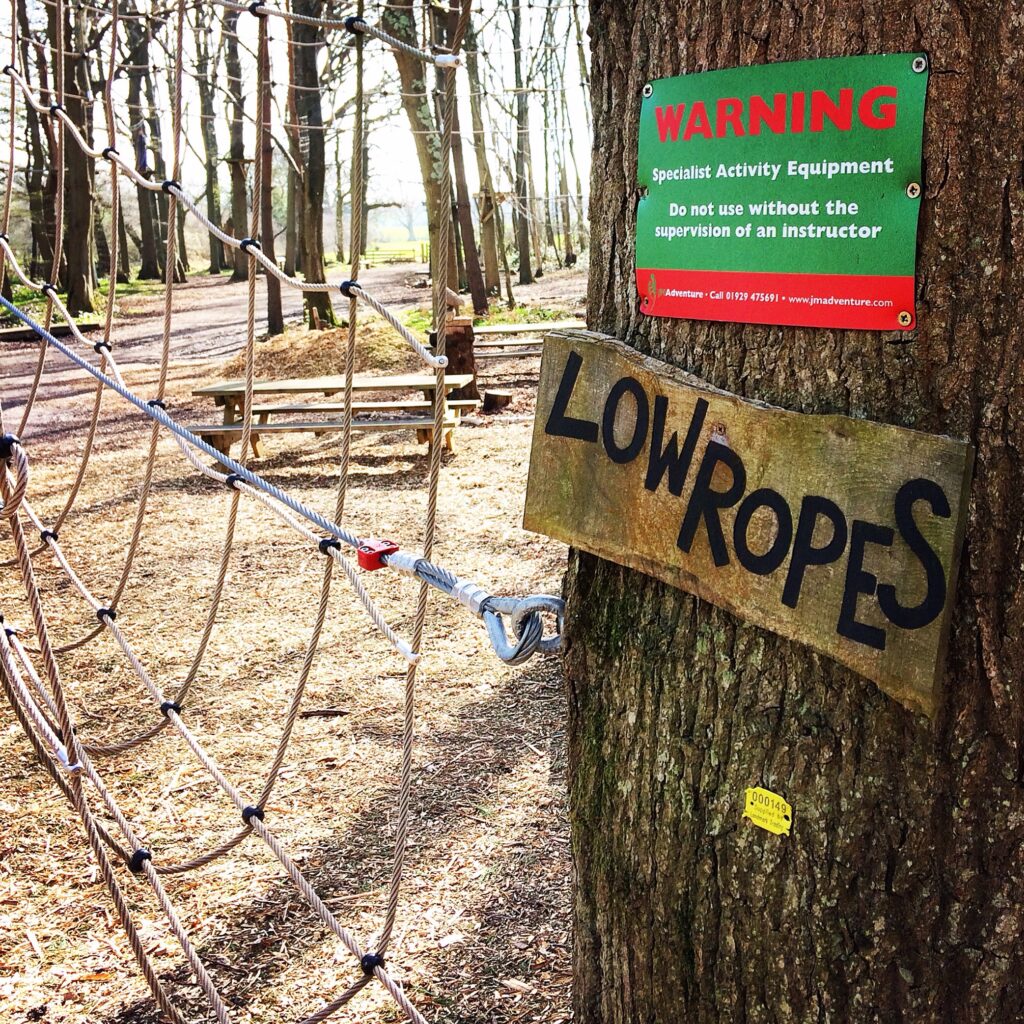 Branching Out Adventures - jugglingonrollerskates