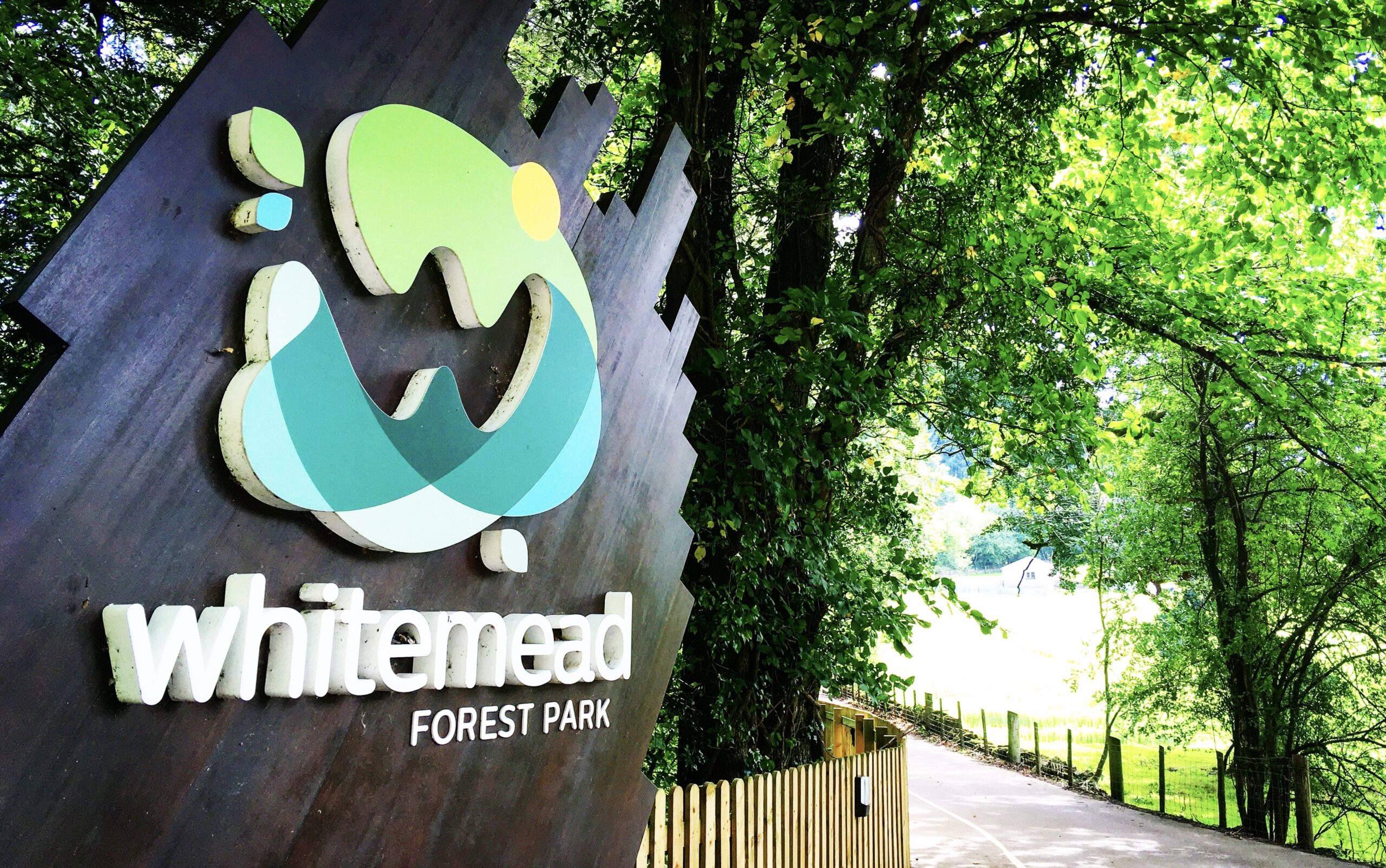 Whitemead Forest Park - Family Adventures in the Forest of Dean ...