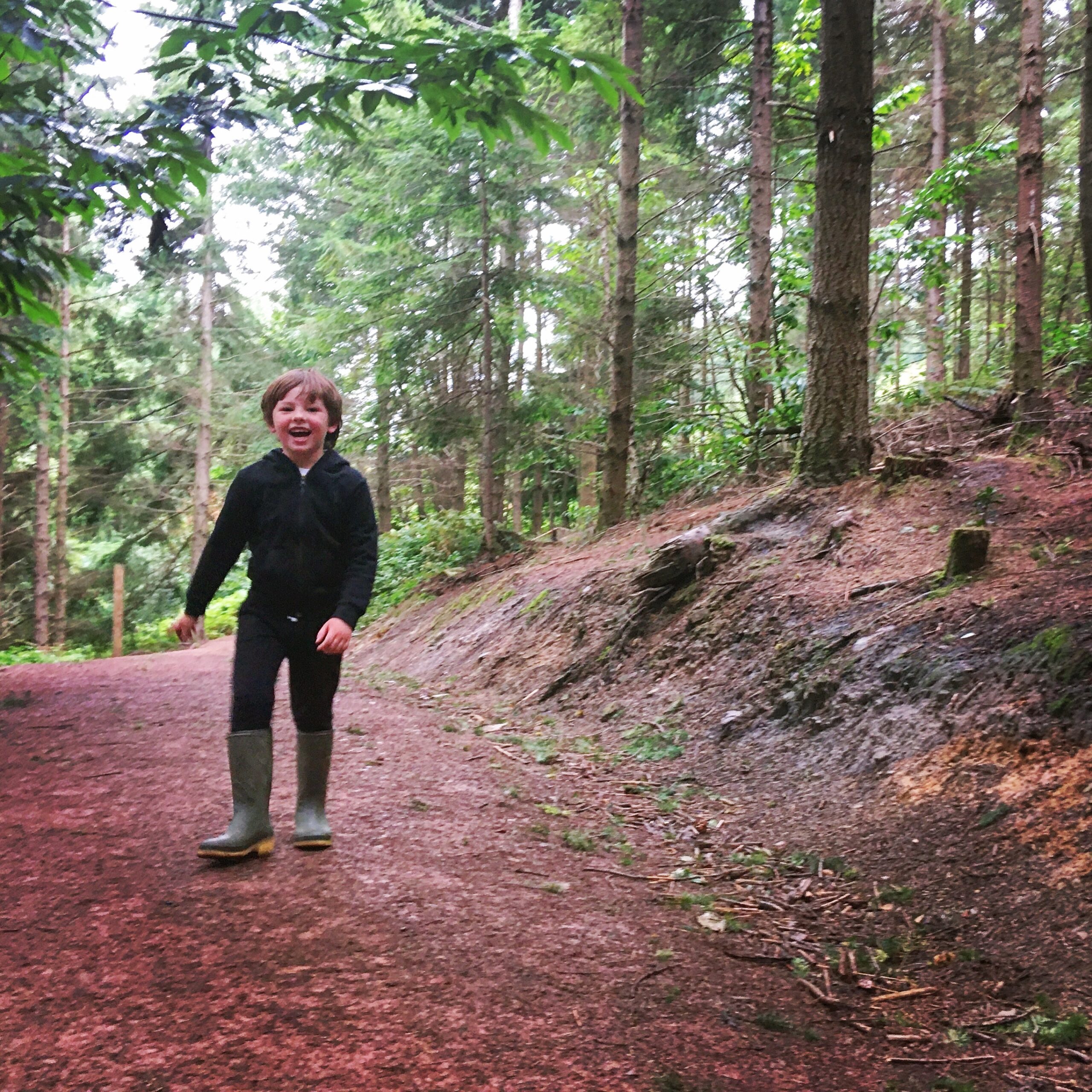 Whitemead Forest Park - Family Adventures in the Forest of Dean ...